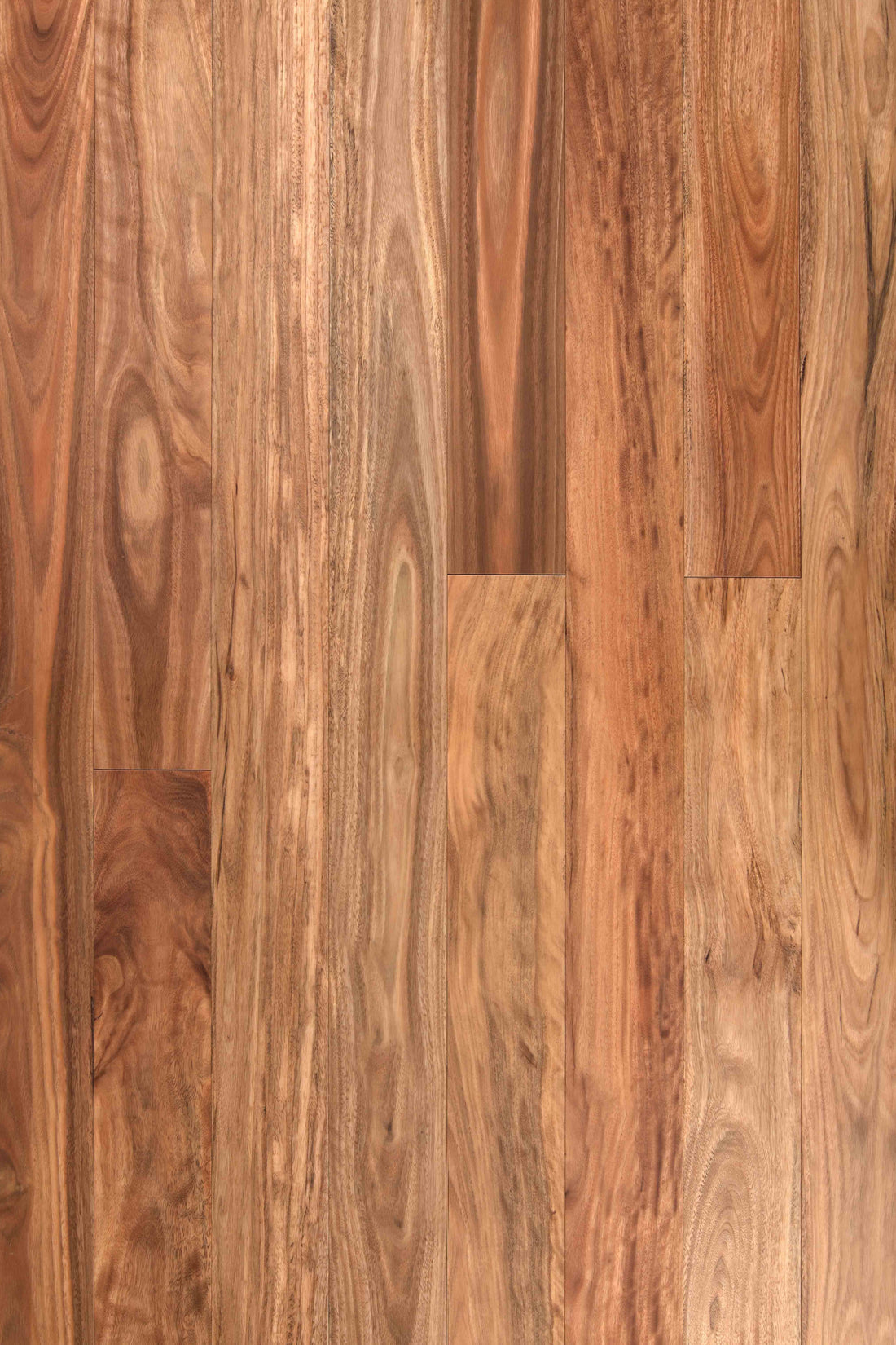 Pacific Spotted Gum - Prestige Floor